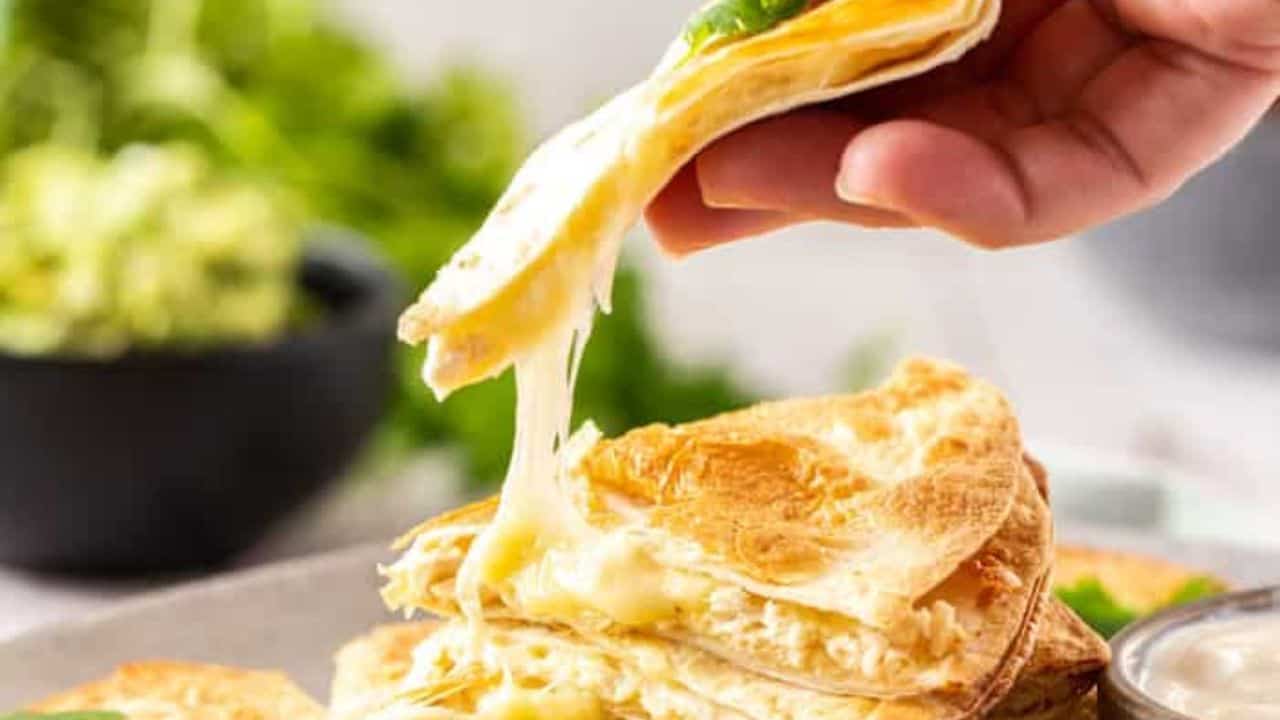 14 Family Favorite Appetizers Even Picky Eaters Devour - Air Fryer Mom